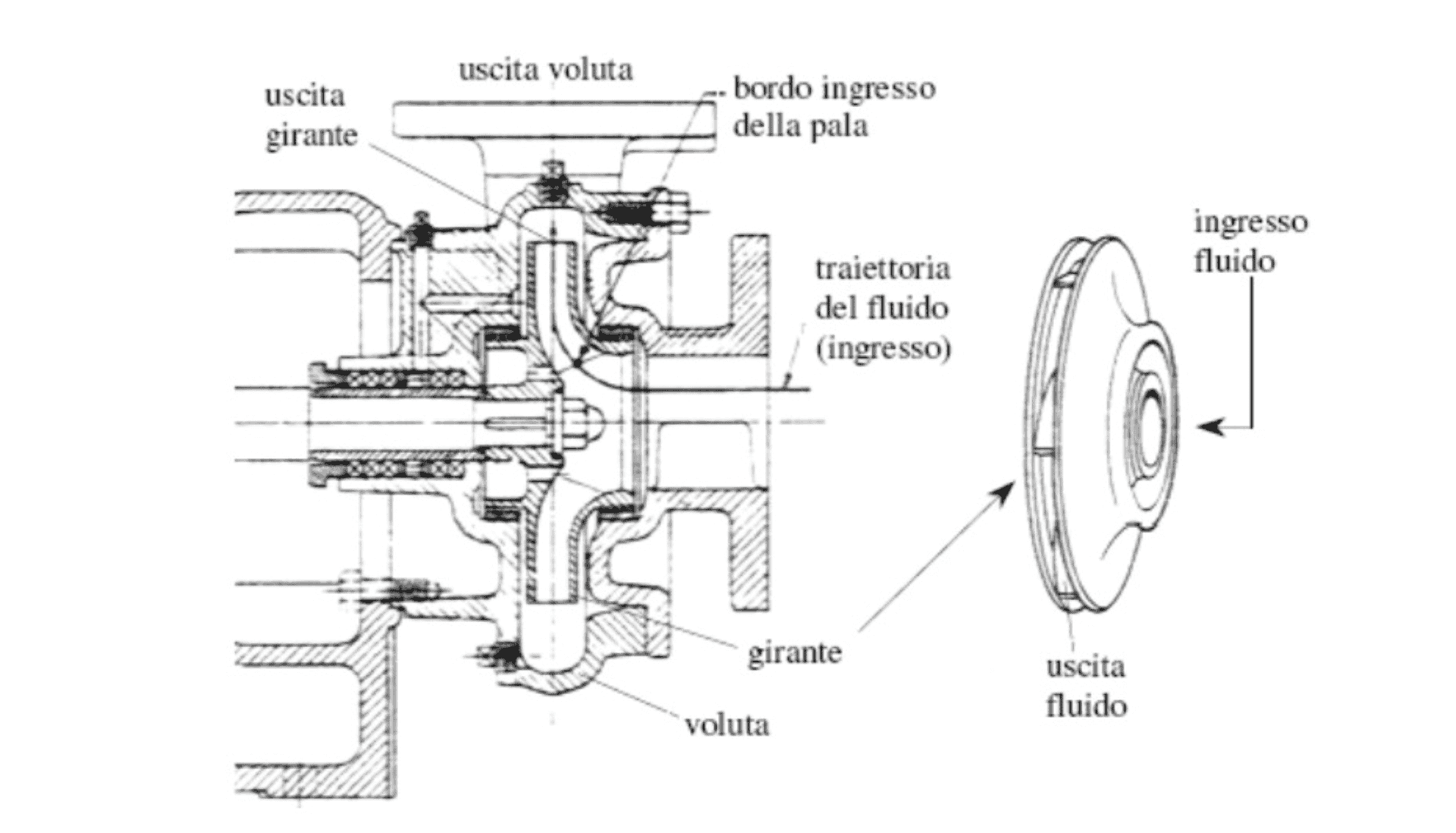 Pompa centrifuga: caratteristiche CDR